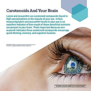 Life Extension Quick Brain Nootropic — Brain Supplement for Memory, Focus, Learning, Recall, Attention and Cognition – Gotu Kola, Bacopa, Once Daily, Gluten-Free, Non-GMO - 30 Vegetarian Capsules