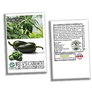 Jalapeño Tam Hot Peppers Seeds for Planting, 50+ Heirloom Seeds Per Packet, (Isla's Garden Seeds), Non GMO Seeds, Botanical Name: Capsicum annuum, Great Home Garden Gift