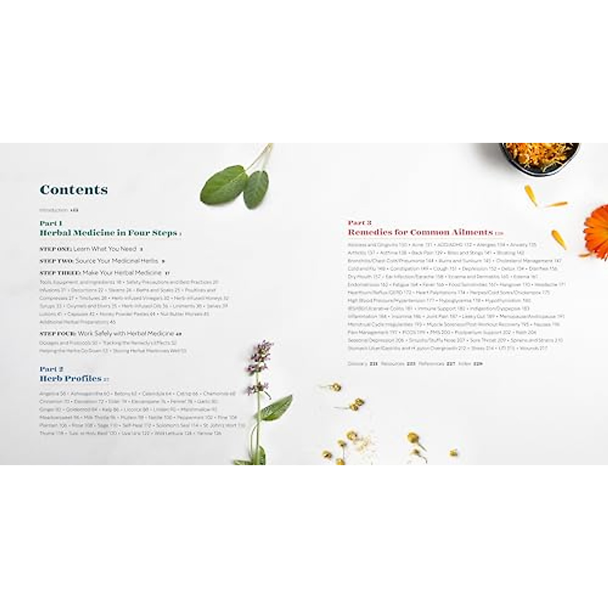 Herbal Medicine for Beginners: Your Guide to Healing Common Ailments with 35 Medicinal Herbs