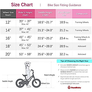 RoyalBaby Jenny Princess 20 Inch Kids Bike with Enclosed Chain Guard, Kickstand, Basket, Bell and Tool Kit for Ages 7 and Above, Pink EL