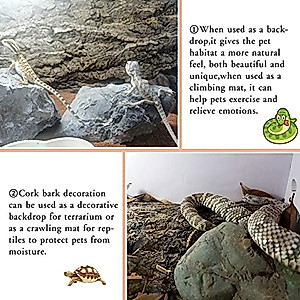 Tfwadmx Cork Tile Terrarium Background Reptile Bark Backdrop Wall Decor 3D Bearded Dragon Tank Climbing Mat Decoration for Gecko Lizard Tortoise Chameleon (2 Pack)