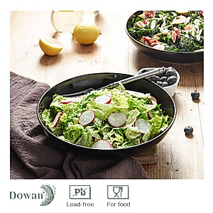 DOWAN 9.75" Large Pasta Bowls, 50 Ounce Large Salad Bowls, Ceramic Pasta Bowls Set of 4, Serving Bowls and Plates Set, Microwave and Dishwasher Safe