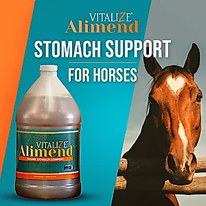 Alimend Stomach Support for Horses, 64 Fluid Ounce (1893 ml)