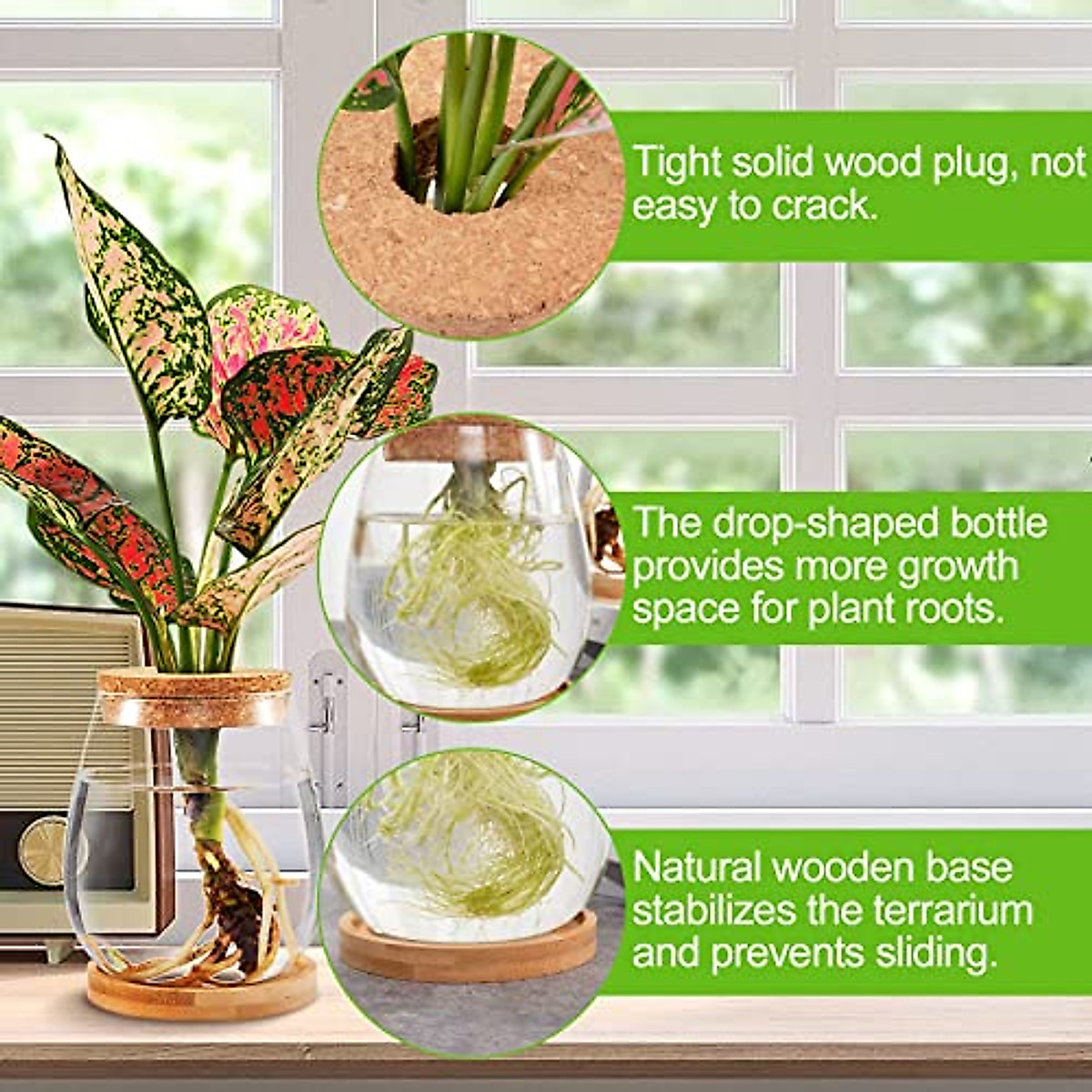 Biggun Plants Propagation Station - Desktop Plant Terrarium Glass Hydroponic Vases Water Plant Propagating Jars Gardening Gifts for Women Mom Plant Lovers (2Pcs, Separated Style)