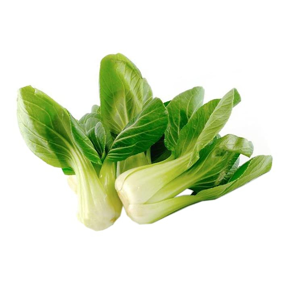 Bundle Vegetable Seeds for Planting: Baby Bok Choy Seeds + Carrot Seeds