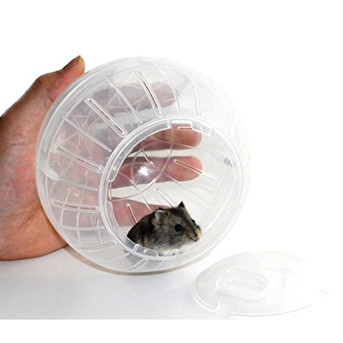 elegantstunning Plastic Pet Rodent Mice Jogging Ball Toy Hamster Gerbil Rat Exercise Balls Play Toys Pure White 10cm10cm10cm