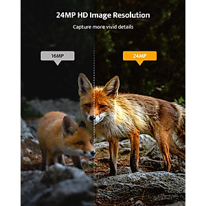 Trail Camera, 24MP 1080P Game Cameras with 850nm Infrared Night Vision, 65ft Motion Activated Deer Hunting Cam for Garden Wildlife Monitoring, IP66 Waterproof, 120° Wide Angle Detection, Easy Set Up