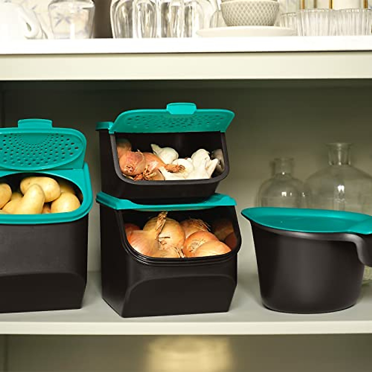 NEW TUPPERWARE MODULAR MATES GARLIC STORAGE 2.3 KG (Single Pack)