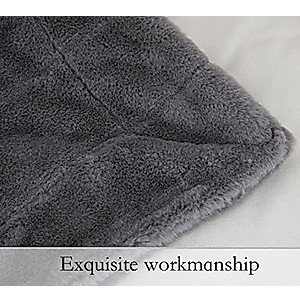 Faux Fur Throw Ultra Soft Double Sided, Fluffy Blanket for Winter Sofa Couch, Cuddly & Warm (50"x 60", Gray)