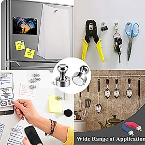 Refrigerator Magnet Push Pin - Rakizbe Brushed Nickel Steel Fridge magents, Magnetic Pushpins, Magnet Thumb Tacks, Magnets for Whiteboard, Kitchen, Office, Bulletin Board, Lockers (Sliver)