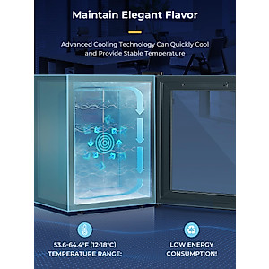 Flyseago Wine Cooler 20 Bottles Eco Friendly Smart Control Wine Cellar with Digital Display Under Counter No Assembly Freestanding Wine Refrigerator Double Glass Door for Bar, Kitchen, Hotel, Rv¡­