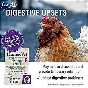 HomeoPet Avian Digestive Upsets, Healthy Digestive Support for Poultry and Pet Birds, 15 Milliliters