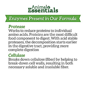 Animal Essentials Plant Enzyme & Probiotics Digestive Supplement for Dogs & Cats, 10.6 oz - Digestion Support