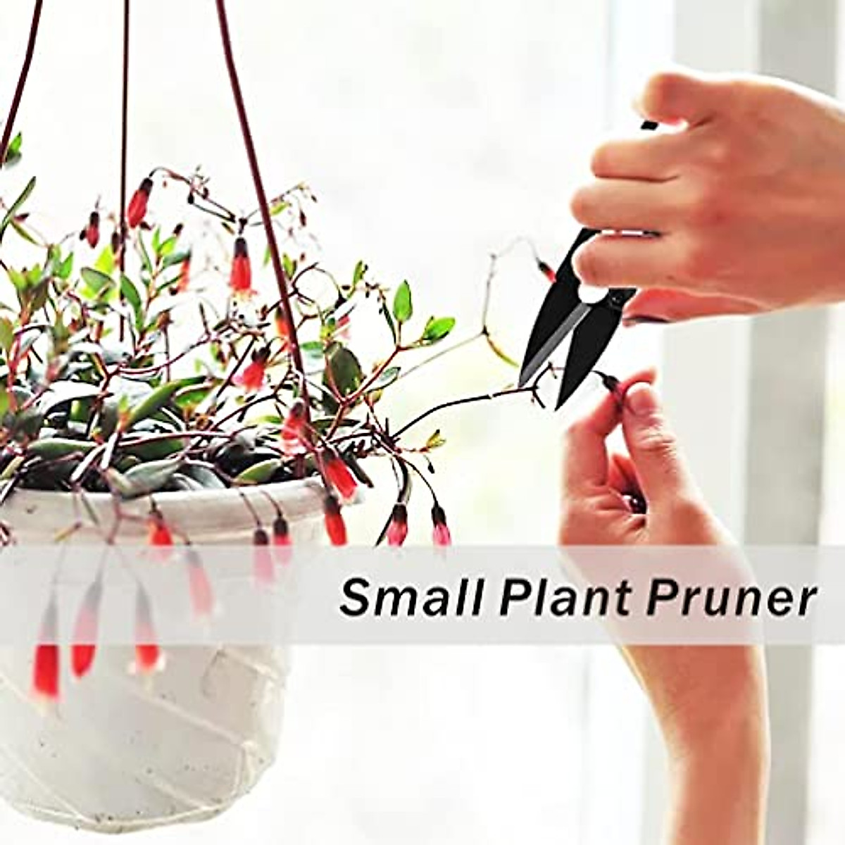 Yardwe 12pcs Bonsai Trimmer Tools Trimming Shears Professional Bonsai Pruning Tool Garden Bonsai Shears Leaves Scissors Pruning Scissor Trimmer Tool Small High-Carbon Steel Pruning Shears