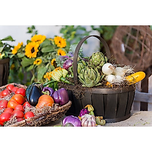 SuperMoss (26972) Spanish Moss Preserved, Coffee, 8oz (200 cubic inch)