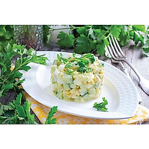 Cutlery-Pro Food Plating Presentation Ring, 18/8 Stainless Steel, 3.5 x 2-Inch