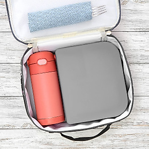 PrimaStella Unbreakable Silicone Lunch Box for Kids and Adults - Leak Proof Divided Bento Box (Stone)