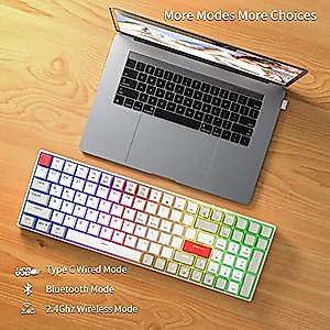 Newmen GM1000 96% Mechanical Gaming Keyboard Wireless Bluetooth/2.4G/Wired USB C Keyboard Compact RGB Backlit Hot Swappable Mechanical Keyboard with Number Pad for Mac/Win Gateron Brown Switches