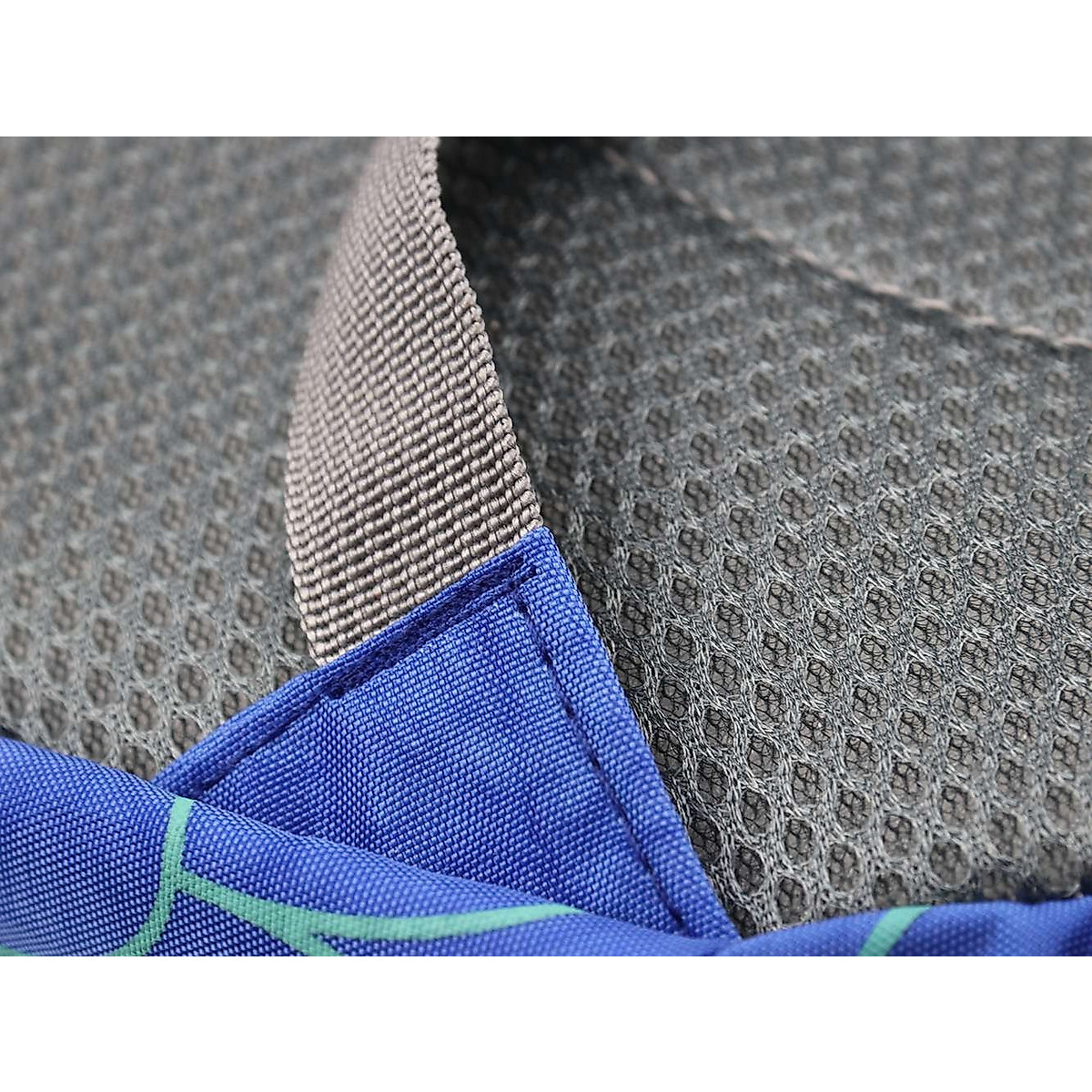 ZHUANNIAN Kids Toddlers Dinosaur Backpack with Safety Leash for Boys Girls(Green)