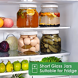 Qianfenie 2 Pack 79 Oz Glass Jars with Lids, 100% Airtight and Leak-proof Half Gallon Mason Jar, Large Mason Jar Wide Mouth for Cold Brew, Kombucha, Nut Milk, Ice Tea, Pickle Eggs, Flour, Sugar