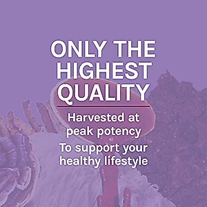 Host Defense, Lion's Mane Extract, Promotes Mental Clarity, Focus and Memory, Mushroom Supplement, Plain, 2 fl oz