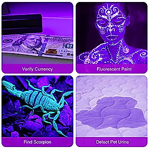 SEVENKA Black Light Flashlight, 2 Pack 12 LED UV Blacklight Flashlight, 395nm Handheld Mini Torch Light, Professional Urine Detector for Dog Pet Urine Stains, Bed Bugs and Scorpions.