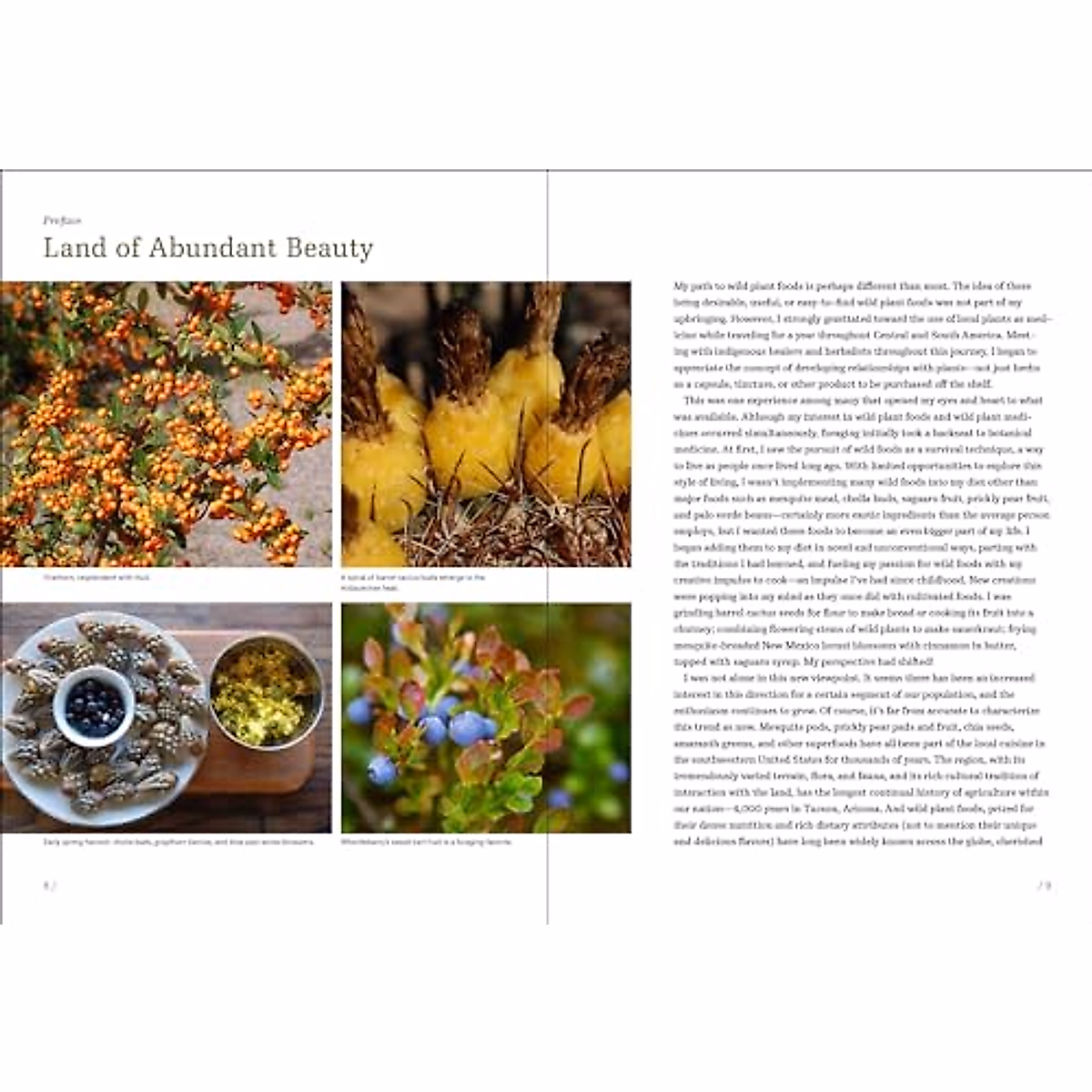 Southwest Foraging: 117 Wild and Flavorful Edibles from Barrel Cactus to Wild Oregano (Regional Foraging Series)