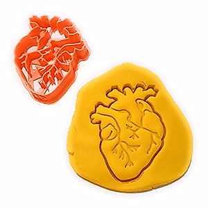 T3D Cookie Cutters Human Heart Cookie Cutter, Suitable for Cakes Biscuit and Fondant Cookie Mold for Homemade Treats, 3.56 in x 2.86 in x 0.55 in