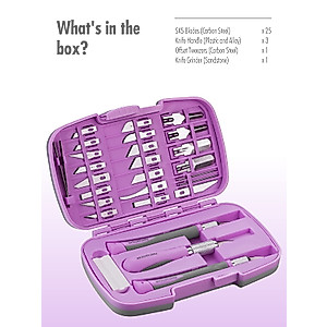 FantastiCAR Craft Knife Precision Cutter Hobby Knife Blades Set (30pcs) for Art Work, Scrapbooking, Stencil, Architecture Modeling, Wood Leather Working (Purple)