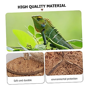 POPETPOP Natural Lizard Nest Kit 2-Piece Pet Villa Nest Vine Cozy Warm Bed for Small Reptiles Semi-Closed for Temperature Retention Pet Enthusiasts