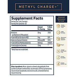 Quicksilver Scientific Methyl Charge - Methylation, Liver, Detox + Energy Supplement - Folate, Vitamin B12, Riboflavin, Vitamin B6 + TMG Supplement with Superior Absorption - Vegan B Vitamins (50ml)