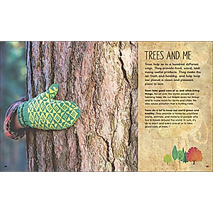 The Magic and Mystery of Trees (The Magic and Mystery of the Natural World)