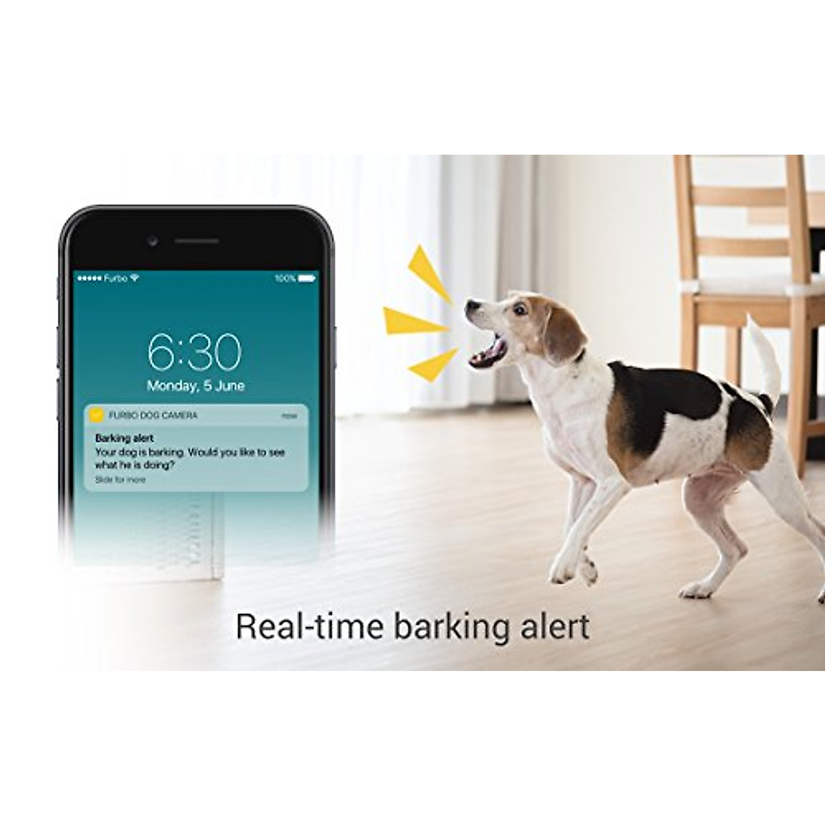 Furbo Dog Camera (2 Pack): Treat Tossing, Full HD WiFi Pet Camera and 2-Way Audio, Designed for Dogs, Compatible with Alexa (As Seen On Ellen)