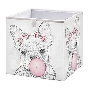 French Bulldog with Gum Storage Baskets for Shelves Foldable Collapsible Storage Box Bins with Cubes Toys Closet Organizers for Pantry Clothes Storage Toys, Books, Home, Office,16 x 11inch