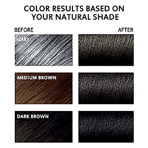 Hair Dye Shampoo 3 in 1, Black Hair Dye 13.5 FL Oz, Black Hair Shampoo, Semi-Permanent Black Hair Dye Shampoo, 100% Gray Hair Coverage, Effect in 5 Minutes, Lasts 30 Days Hair Color Shampoo (black)