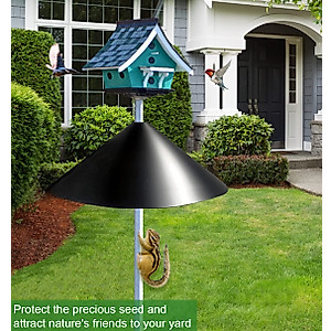 Fandature 19 Inch PP Squirrel Proof Baffle for Protecting Outside Pole Bird Feeders and Bird Houses, Pole Mount Raccoon and Squirrel Guard Stopper for Shepherd Hooks - Black, 1 Pack
