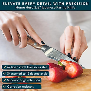 Home Hero Japanese Paring Knife Collection - VG10 Damascus Steel Triple Rivet Ultra Sharp 67 Layers Kitchen Knife with Ergonomic Rosewood Handle - Unique Gift for Men & Women (3.5 Inch Paring Knife)