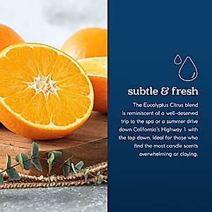 GOODLIGHT Candles Tea Lights Eucalyptus Citrus, 6 CT