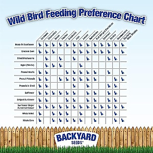 Backyard Seeds White Millet Bird Seed for Finches 8 Pounds (8 Pounds)