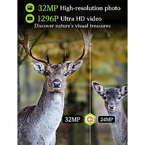 BLAZEVIDEO 2-Pack Game & Trail Camera 32MP 1296P MP4 Video No Glow Night Vision Motion Activated IP66 Waterproof 0.3 Trigger Speed for Hunting Wildlife & Home Surveillance