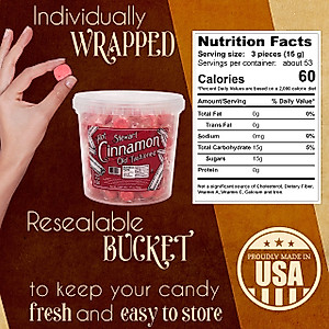 Stewart Old Fashioned Hot Cinnamon Flavored Pure Sugar Candy Puff Balls - Individually Wrapped Candy Snack, Fat-Free, Cholesterol-Free, Gluten-Free, Made in the USA - 27oz Tub