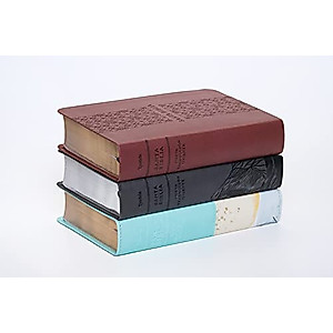 Santa Biblia NTV, Edición compacta, letra grande (SentiPiel, Café, Letra Roja) (Spanish Edition)