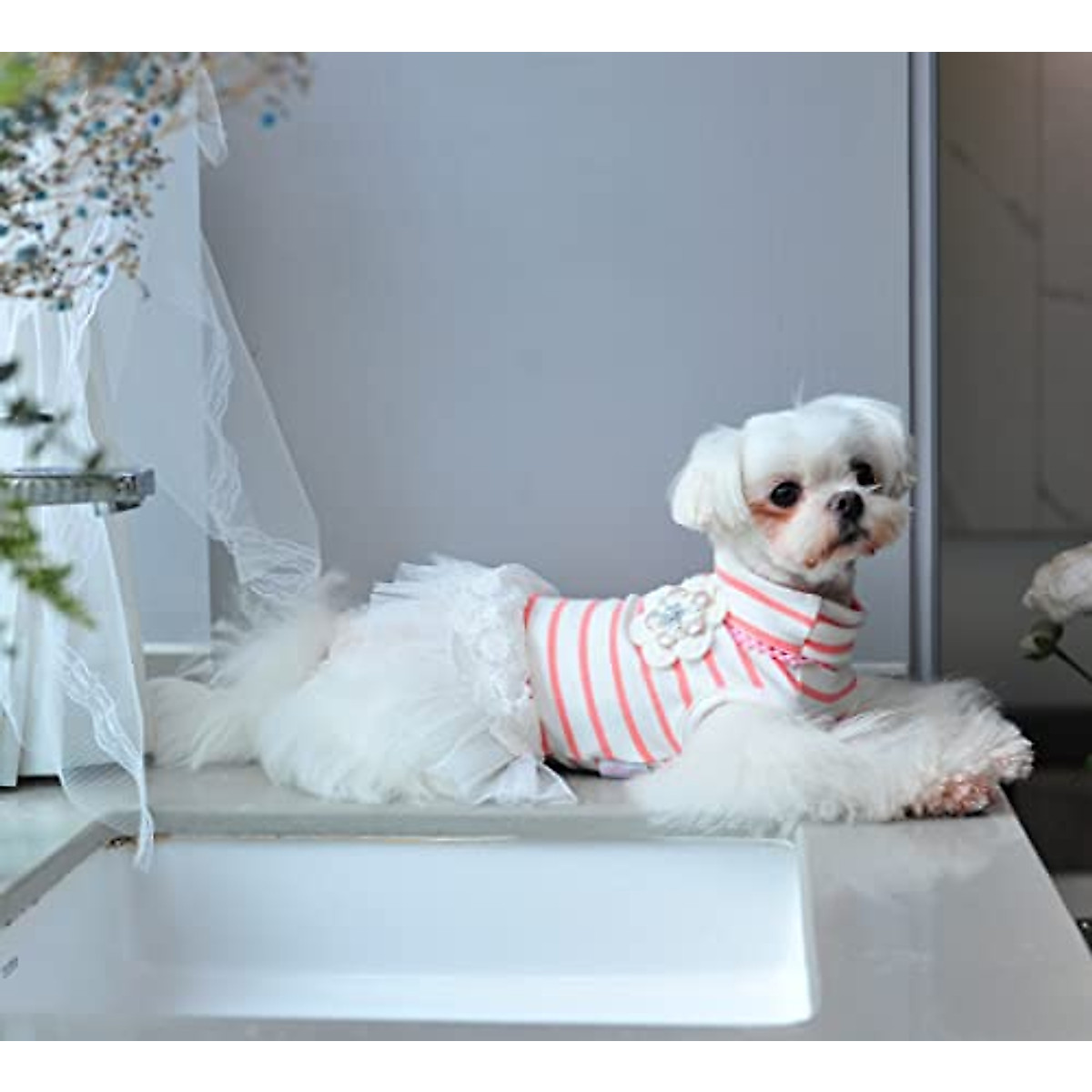MSNFOASM Pet Dog Pink Stripe Dog Dress,Dog Tutu Lace Skirt Wedding Dress for Small Girl Dogs Cats（Pink Stripe M）