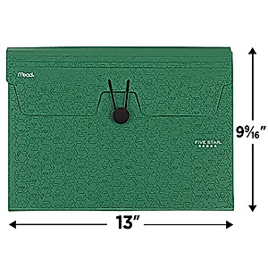 Five Star 6 Pocket Expanding File Organizer, Plastic Expandable File Folders with Pockets and Tab Inserts, Holds 11" x 8-1/2", Bungee Closure, Green, Color Will Vary (72925)