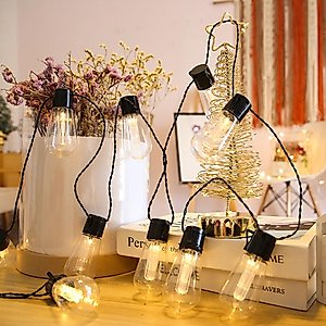Edearkar LED Outdoor Camping Light Bulb 8.2 Feet 10 Lights Warm White Battery Powered Retro Bulb Light String Christmas Courtyard Holiday Decoration Lights, Pack of 1