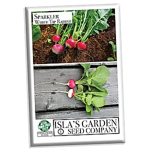 "Sparkler White Tip" Radish Seeds for Planting, 100+ Heirloom Seeds Per Packet, (Isla's Garden Seeds), Non GMO Seeds, Botanical Name: Raphanus sativus, 90% Germination Rate