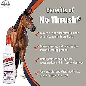 Four Oaks Farm Ventures, No Thrush Dry Powder Treatment for Horses - Wound Care, Scratches, Rain Rot, Mud Fever, Coat Issues - All Natural Ingredients, Non-caustic, Easy to Use Powder Formula (2.5 oz)