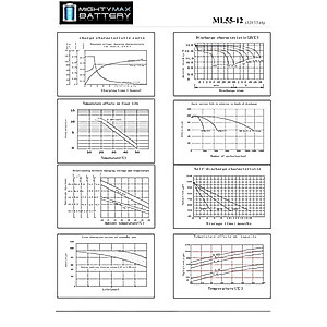 Mighty Max Battery 12V 55Ah SLA Battery Replacement for Bright Way Group BW 12550 Z
