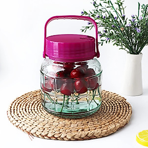 Glass Storage Canister,32 oz Mason Jar with Plastic Handle and Airtight Lids,for Canning, Meal Prep, Jam, Jelly,Milkshakes, Salads,Drinks(Set of 4)