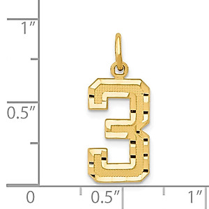 Solid 14k Yellow Gold Casted Medium Diamond-Cut Number 3 Charm Pendant - 22mm x 9mm